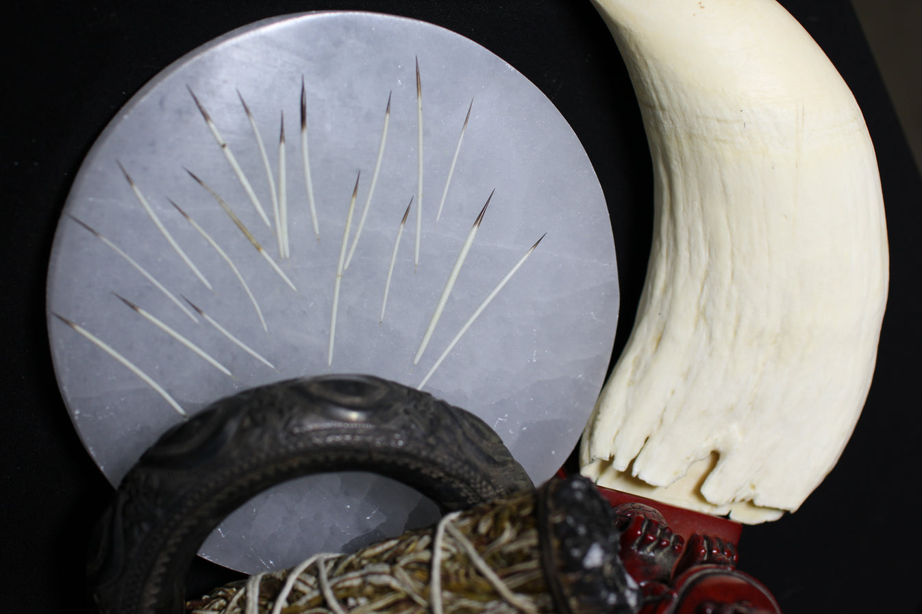 Porcupine Quills – Blue Lion Spellworks